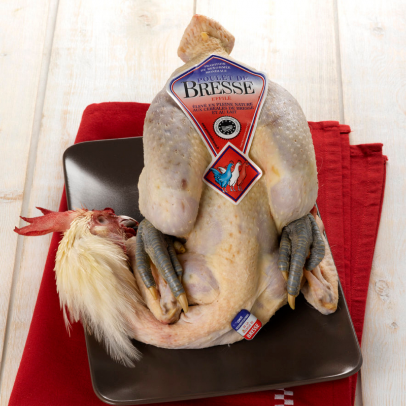 Comprar pollo nacional criado en libertad | SERTINA