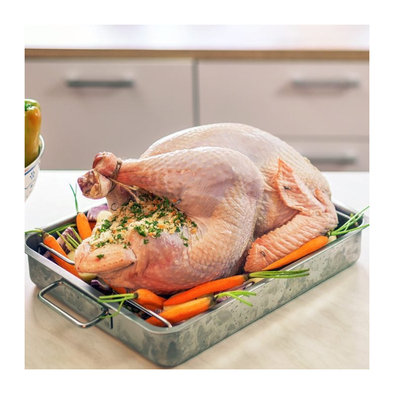 Comprar productos de pavo. Calidad garantizada | SERTINA