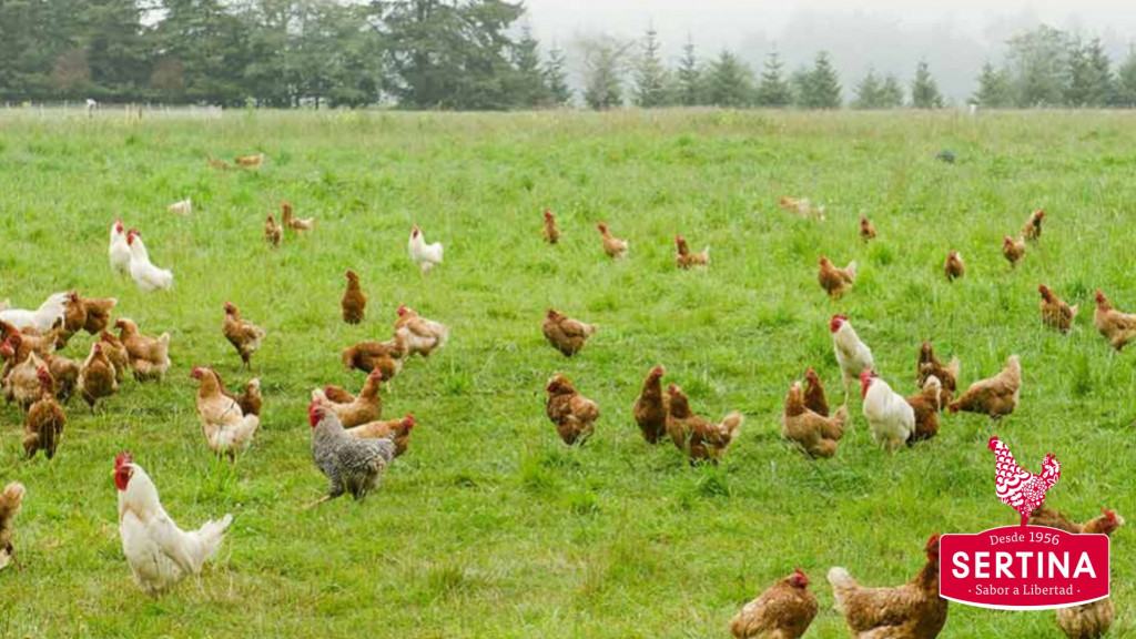 La importancia de los animales criados en libertad - Sertina Blog