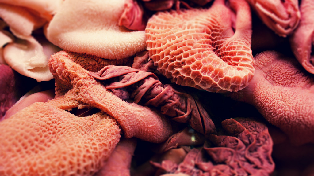 La Tradición Detrás de la Casquería: Explorando el Legado Histórico de ...